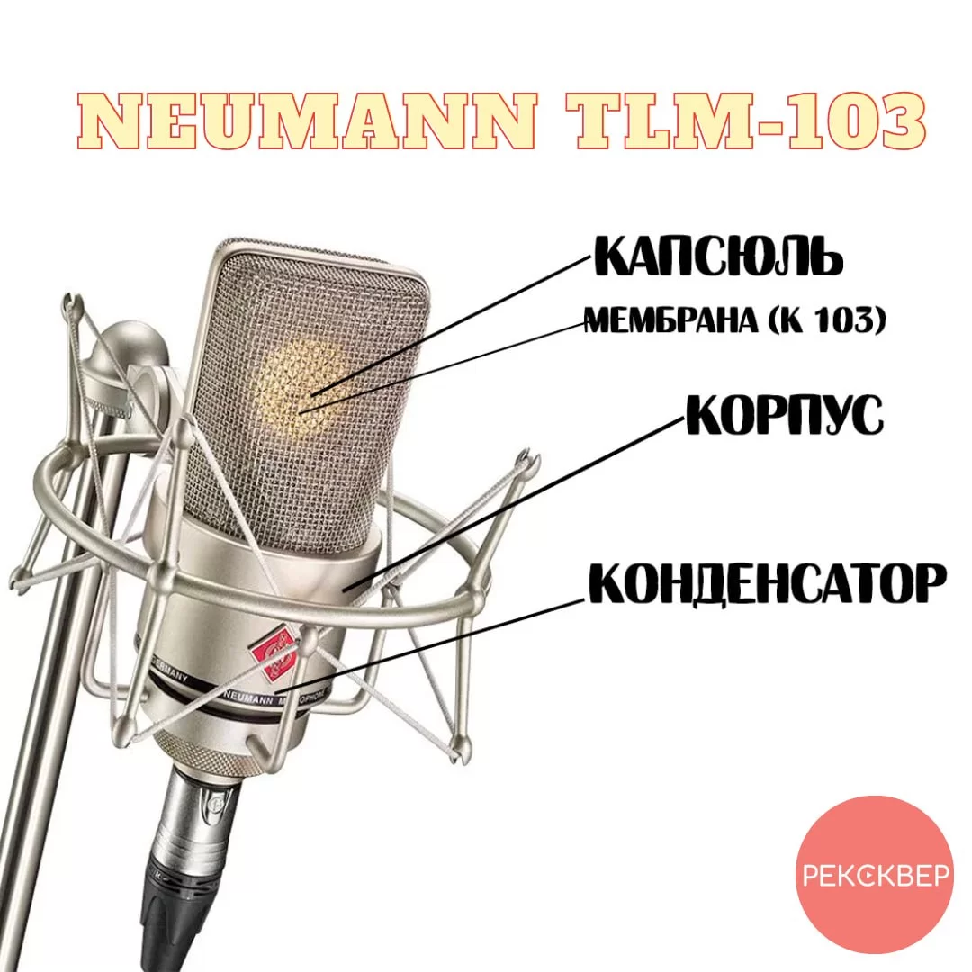 ТОП-3 микрофонов для профессиональной звукозаписи: делимся секретами ...